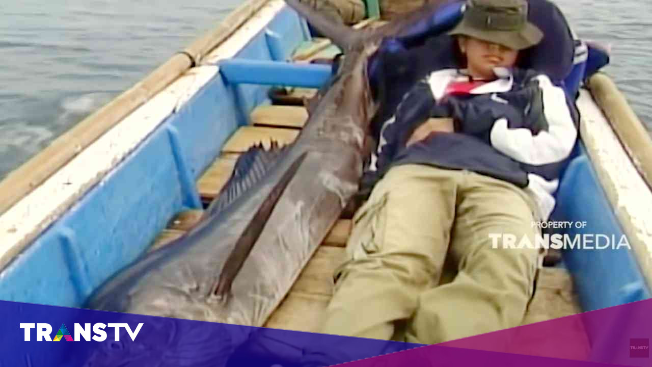 JELAJAH: Kepuasan Memancing Ikan Marlin Di Lautan - Trans TV