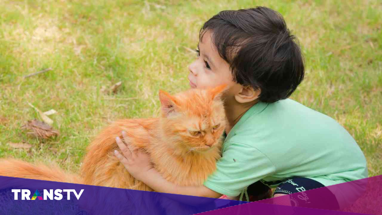 BUAH HATI: Hewan Peliharaan Untuk Anak, Media Sosialisasi Dan Belajar ...