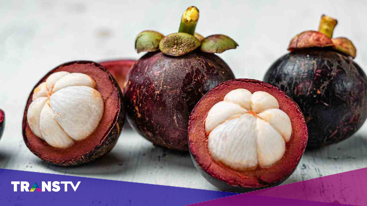 Luar Biasa, Banyak Sekali Manfaat Buah Manggis Bagi Tubuh - Trans TV