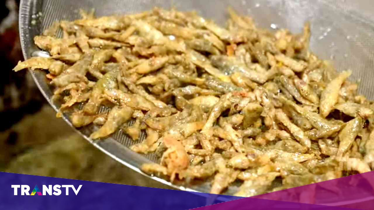 Kandunga Protein Ikan Cetol Penting Untuk Pertumbuhan Otot - Trans TV