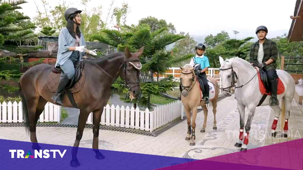 Istana Stable Equestrian Park, Tak Sekadar Bermain Dengan Kuda - Trans TV