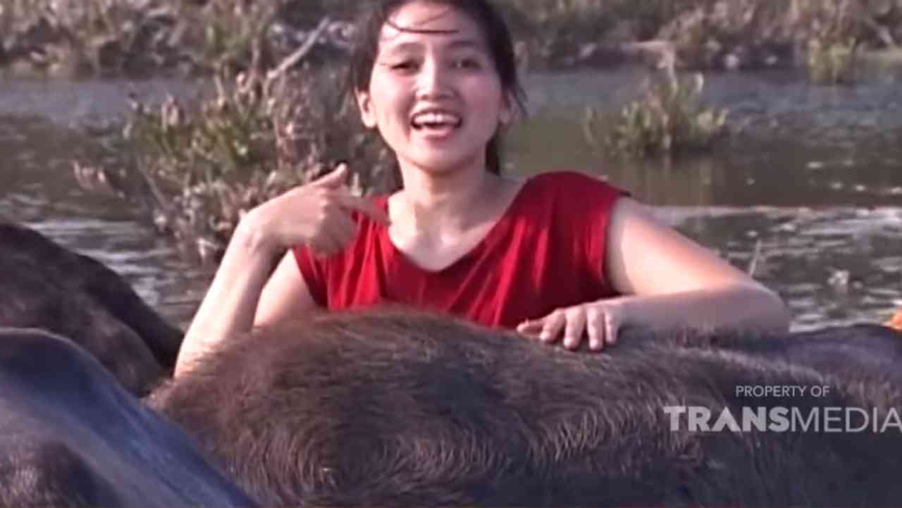 Trans TV - Live Streaming TV, Galeri Vidio & Jadwal Acara Siaran TV