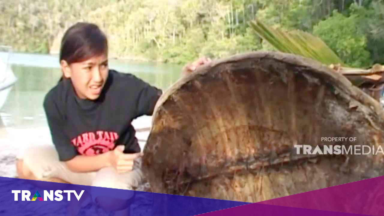 JELAJAH: Menjelajahi Keindahan Tersembunyi Pulau Wayag - Trans TV