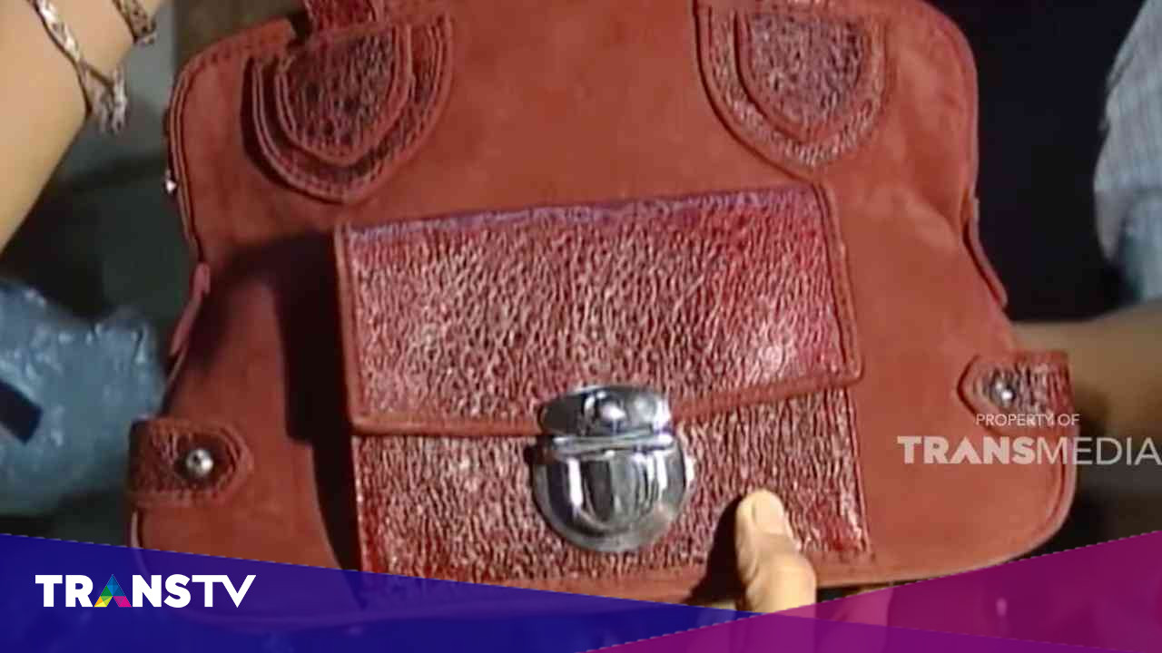 JELANG SIANG: Aksesoris Dari Kulit Katak Memang Ada, Ya? - Trans TV