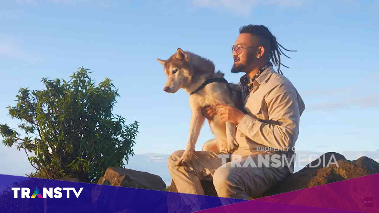 Anjing Siberian Husky, Teman Petualang Di Zona Dingin - Trans TV