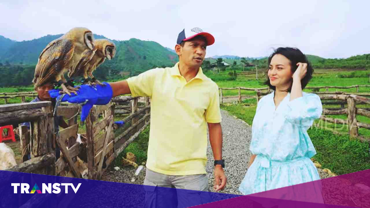 Liburan Di Banyumas Jangan Lupa Mampir Ke Menggala Ranch - Trans TV