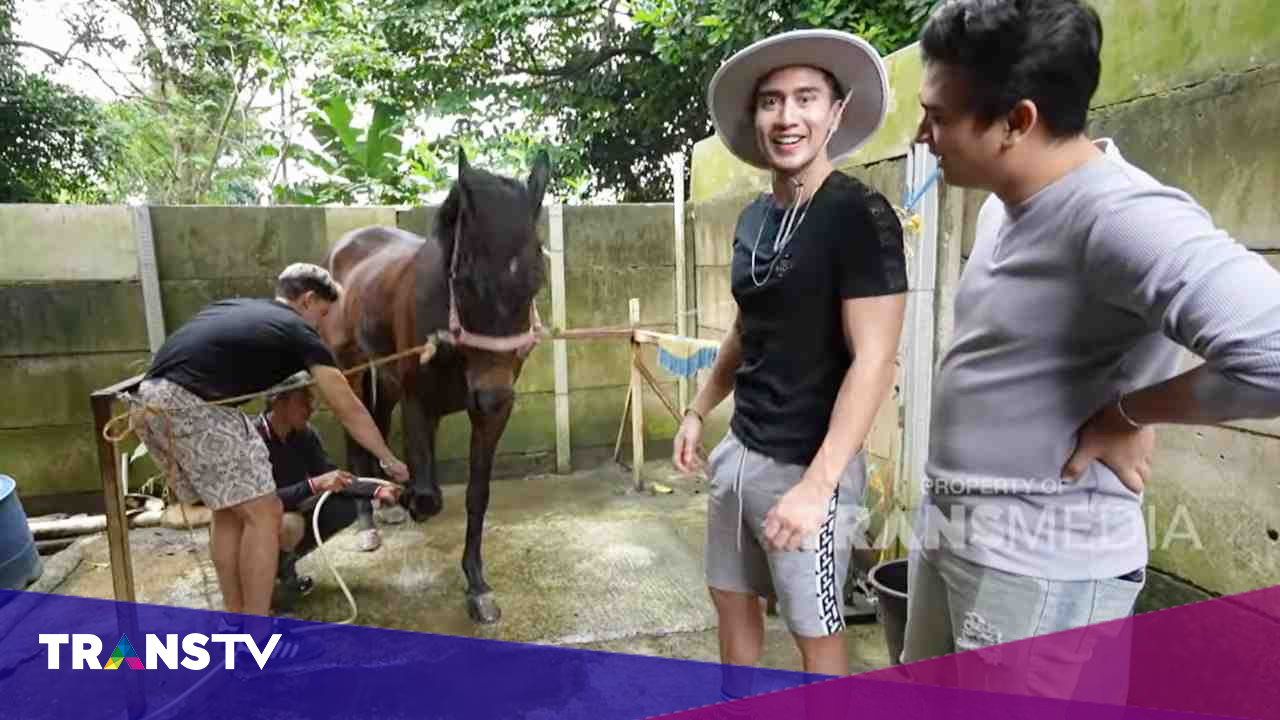 Kalau Mau Berkuda, Belajar Dulu Dong, Merawat Kuda! - Trans TV