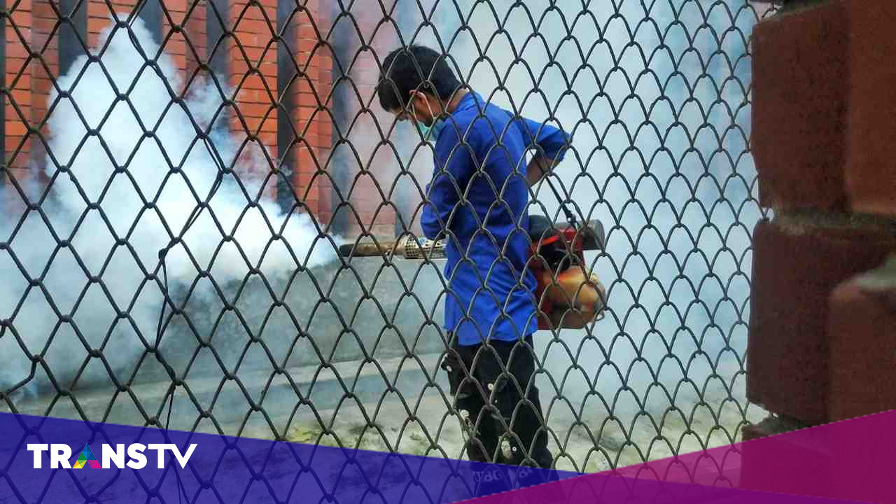 Penyebab DBD Bukan Cuma Gigitan Nyamuk, Ini Faktor Faktor Utamanya ...