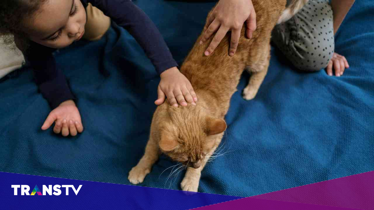 BUAH HATI: Hewan Peliharaan Untuk Anak Harus Dipastikan Aman - Trans TV