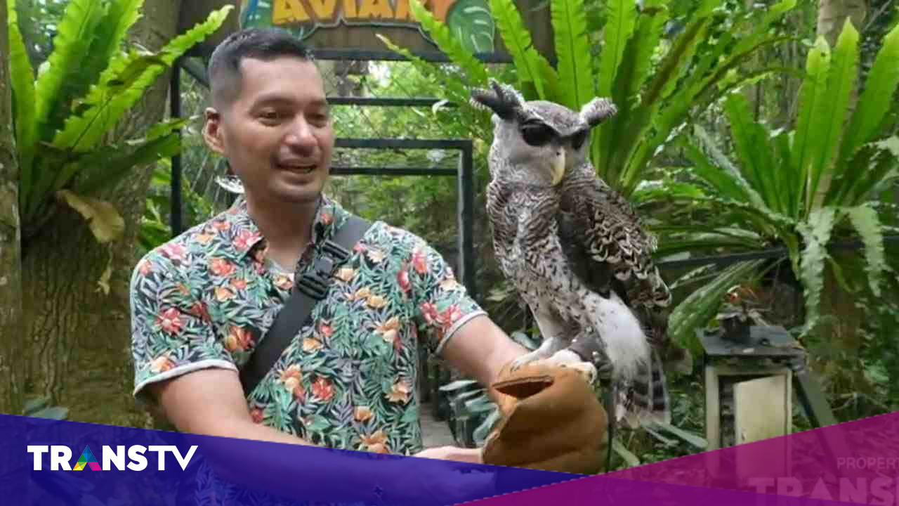 Bird Pavilion Tempat Berinteraksi Langsung Dengan Berbagai Jenis Burung ...